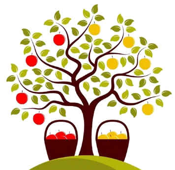 Menu - Two Seasons Cafe - Mesa, AZ